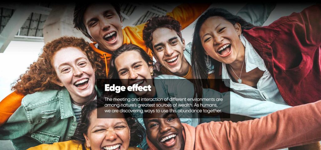 Home - MindHub Academy