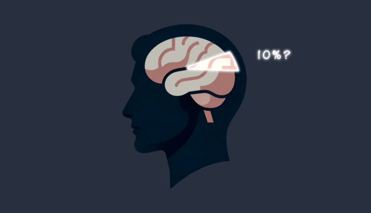 Home - MindHub Academy